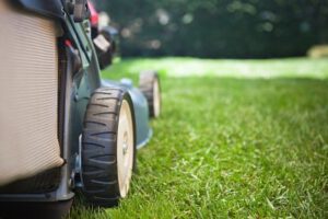 DIY Vs. Professional Lawn Fertilization: An Honest Comparison | Lawn Squad
