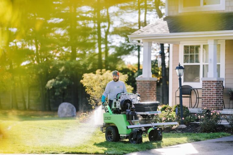 Lawn Surface Insect Control | Lawn Squad