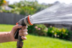 Watering Your Utah County Lawn Through June Heat: A Smart Schedule For ...