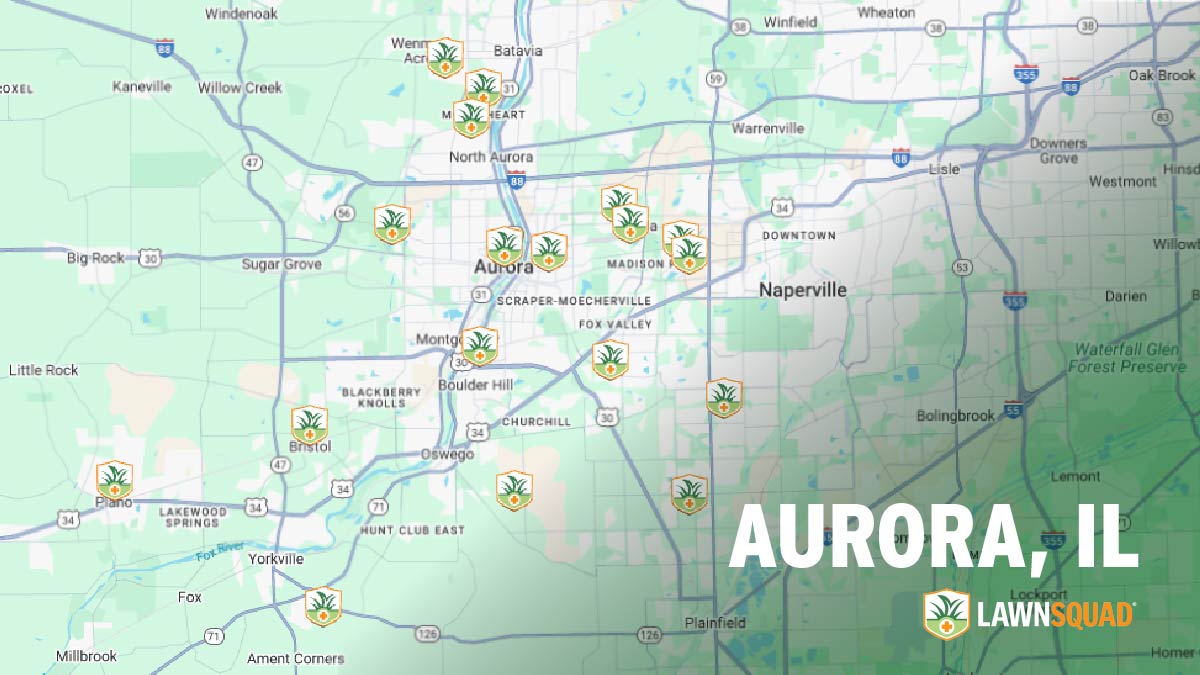 Top-Rated Lawn Care Services | Lawn Squad of Aurora
