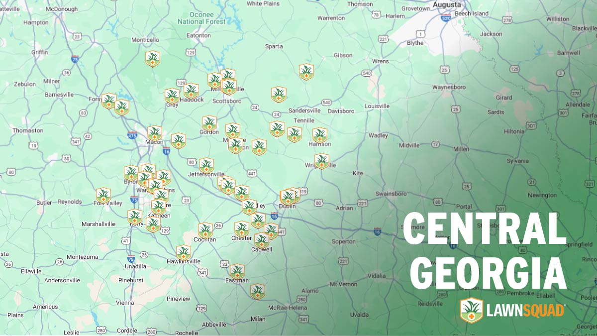 Lawn Care In Central Georgia | Lawn Squad