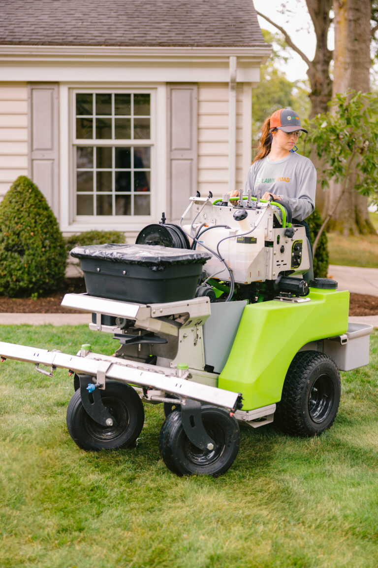 Lawn Disease Control Services | Lawn Squad