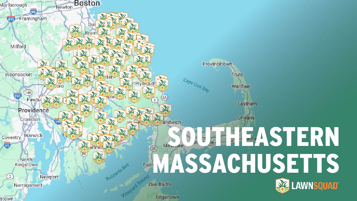 Hinckley, OH | Lawn Squad