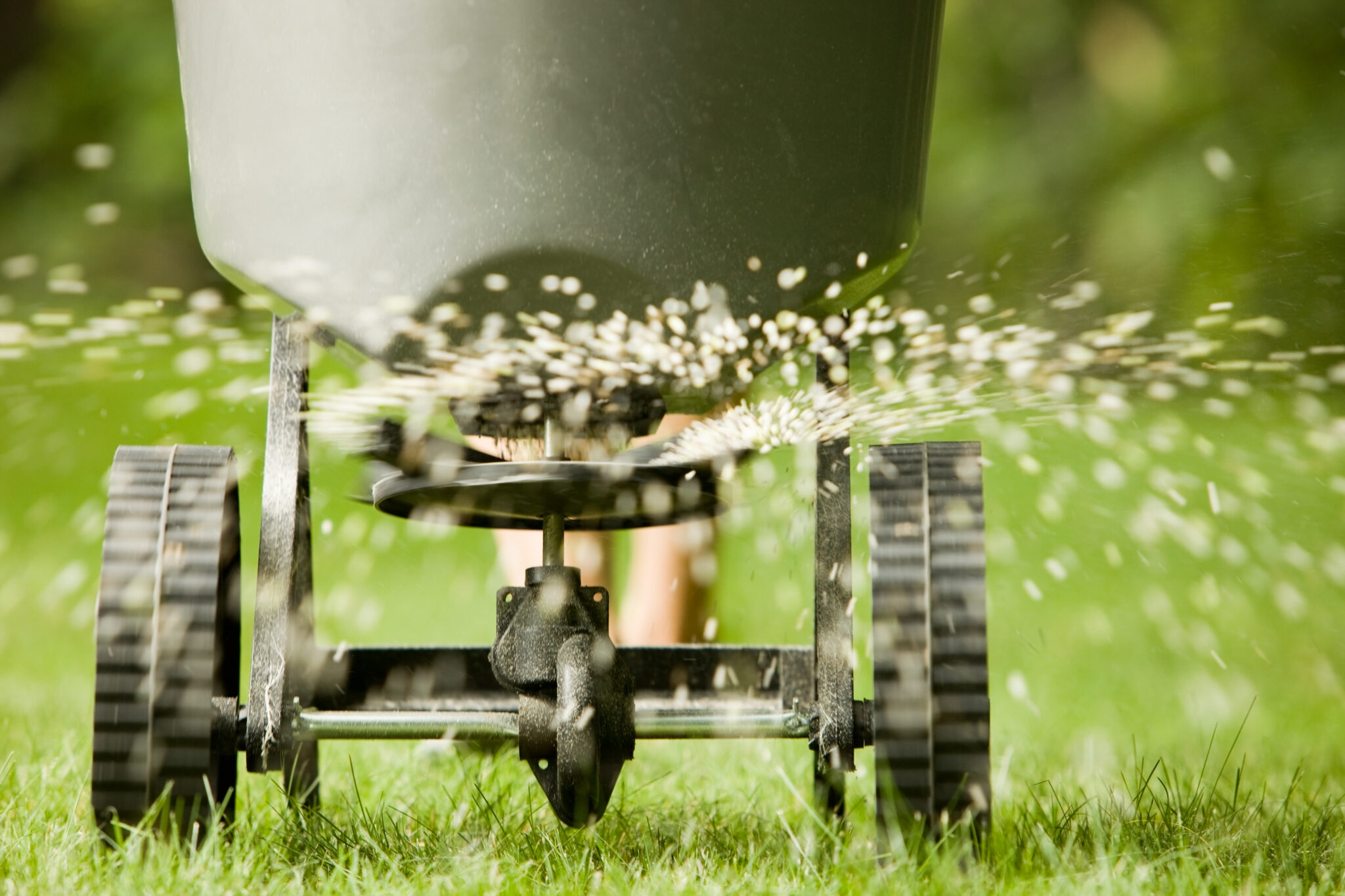 Spring Lawn Preparation Tips for Bucks & Montgomery County