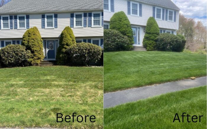 Bermuda Vs Fescue In Chattanooga: Which One Wins Through A Hot Summer ...