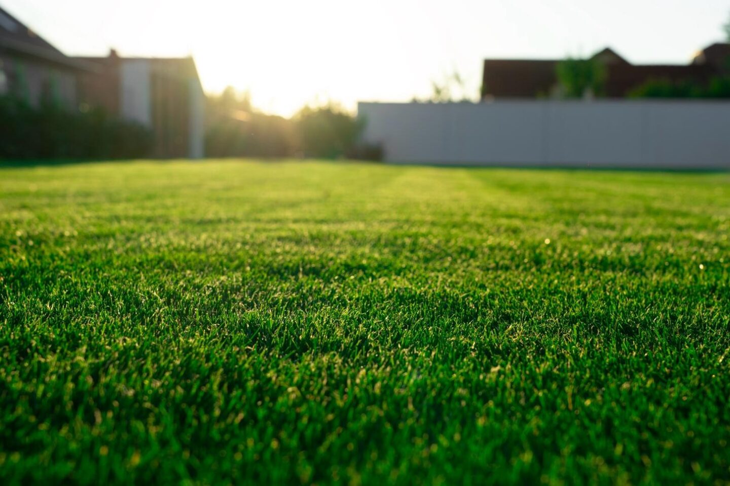June Lawn Care Checklist For Dayton: A Realistic Week-by-Week Plan ...